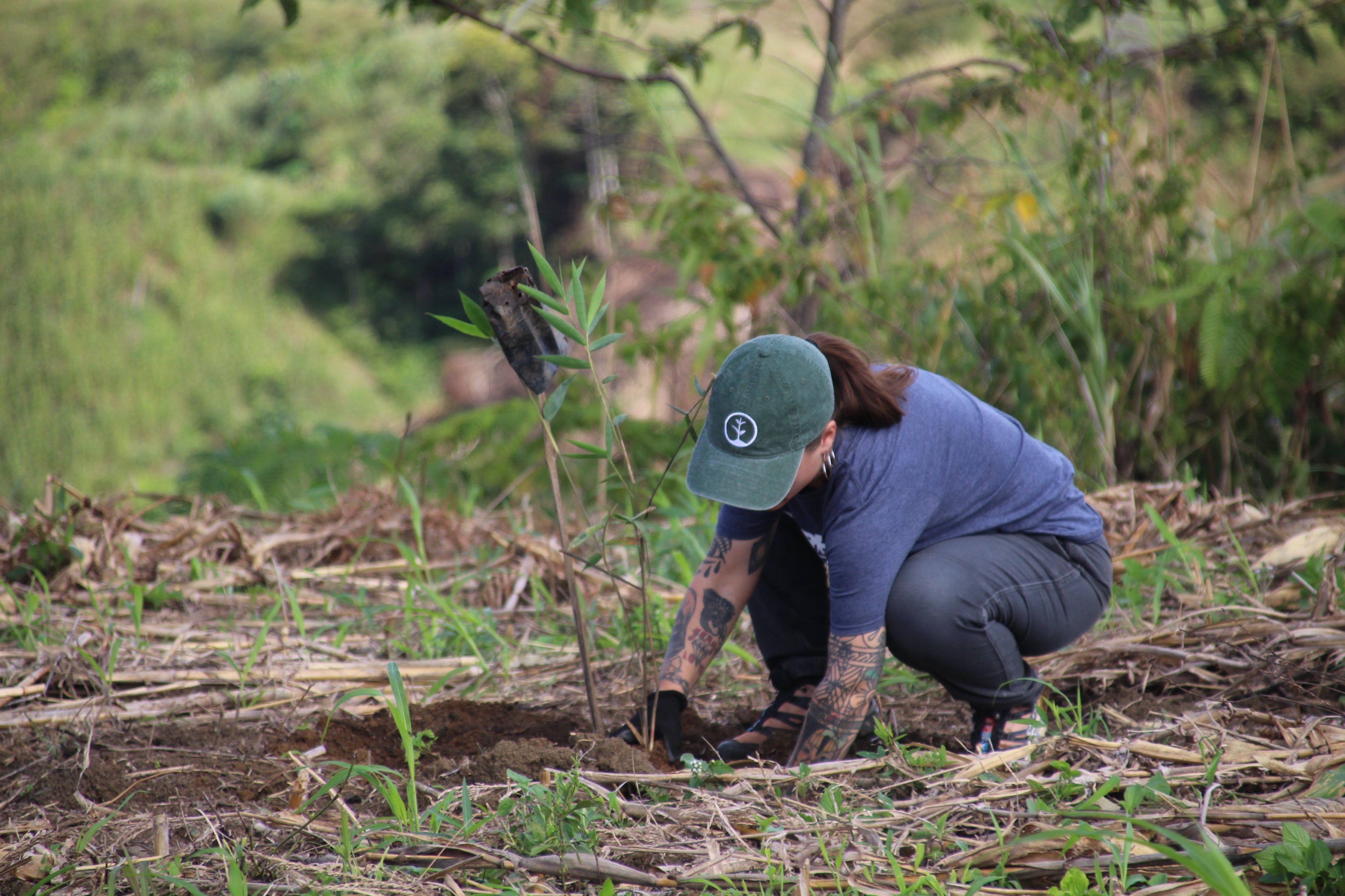 Team DB Pledges to Plant Trees with One Tree Planted – DB Orthodontics ...