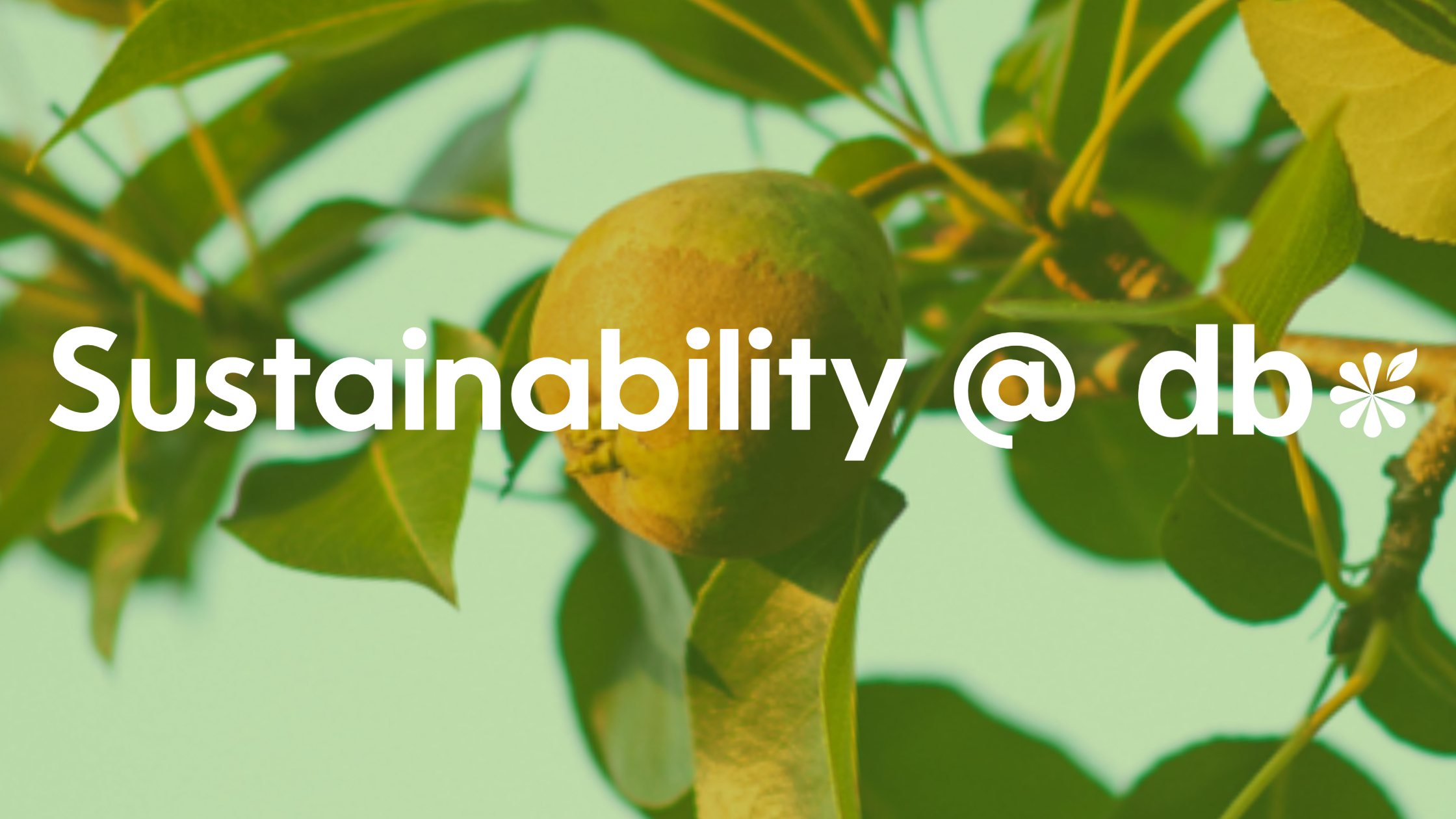 Green Initiatives at DB: Paving the Way for a Sustainable Future – DB ...